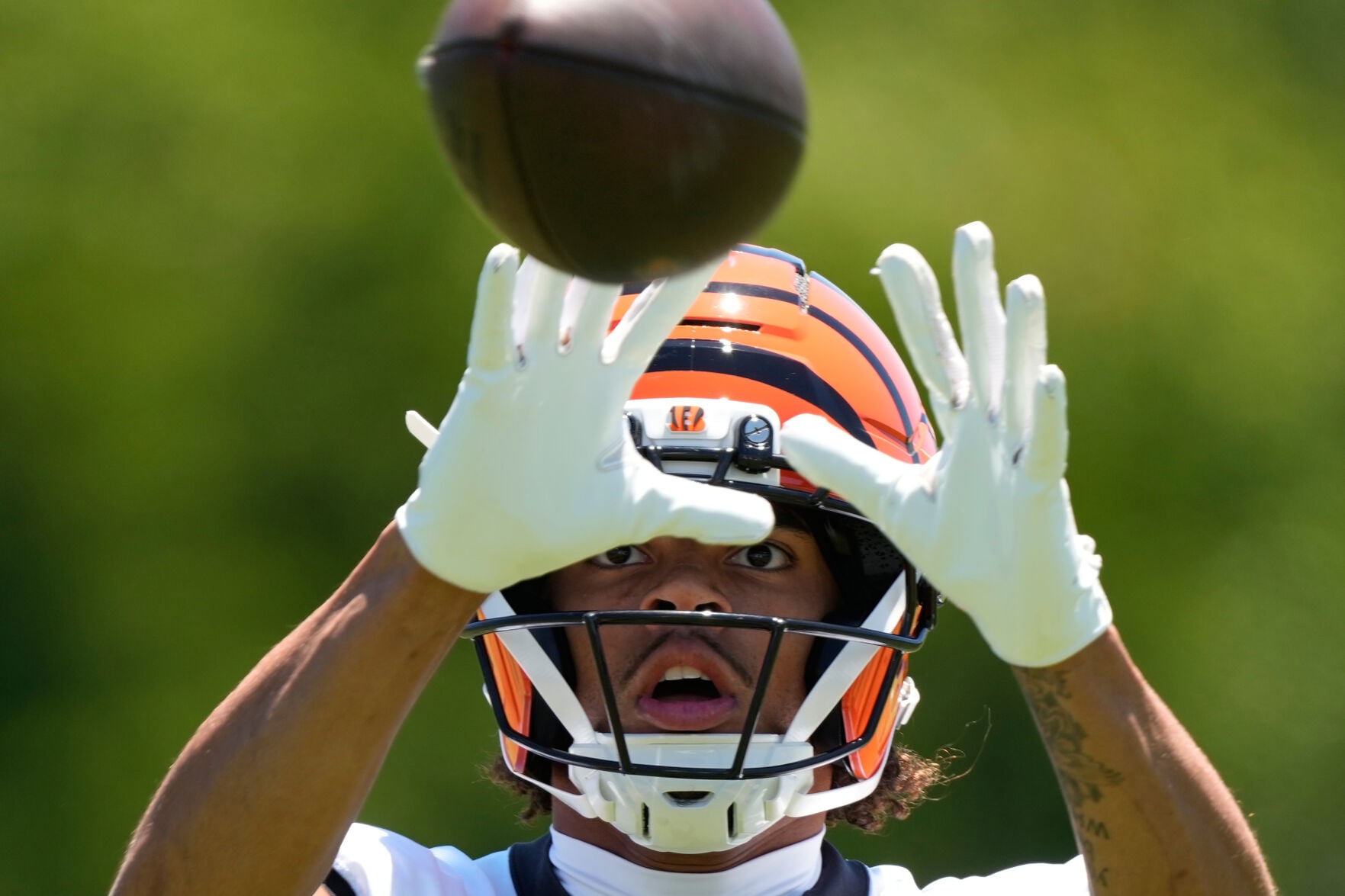 Bengals Football | National Sports | idahopress.com