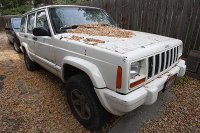 Multiple tort claims filed against Boise for police shooting damage ...