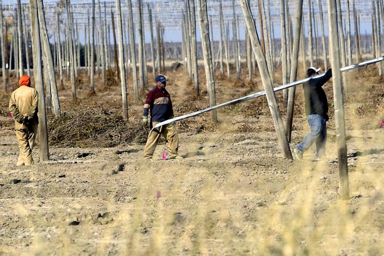 Farmworker housing shortage has growers looking to build | Local News ...