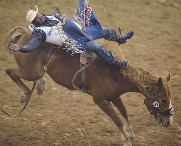 Caldwell's Kalafatic glad to be back at Snake River Stampede | Sports ...