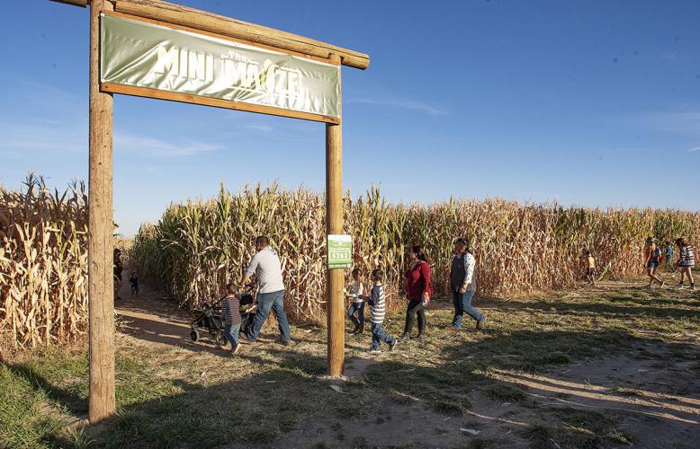 Two Treasure Valley family farms celebrate harvest season with corn ...