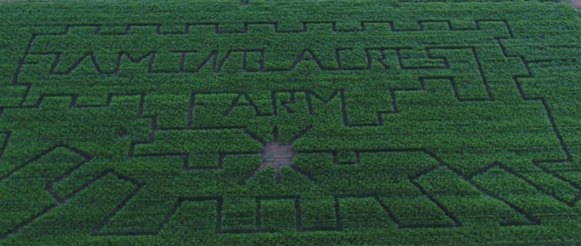 Two Treasure Valley family farms celebrate harvest season with corn ...