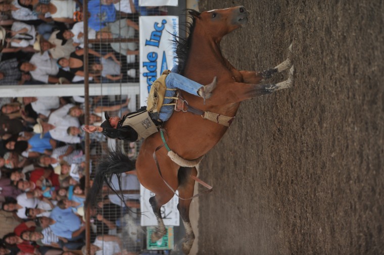 Owyhee County Rodeo | Sports | idahopress.com