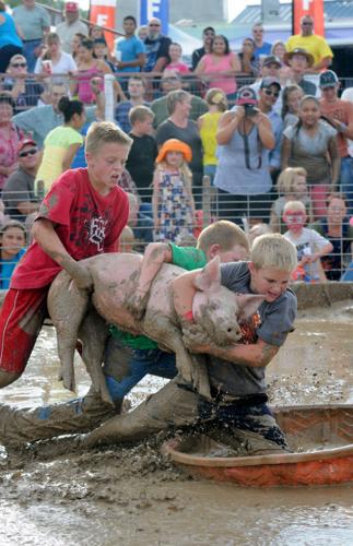 Pig Wrestling at the Fair | Photo Gallery | idahopress.com