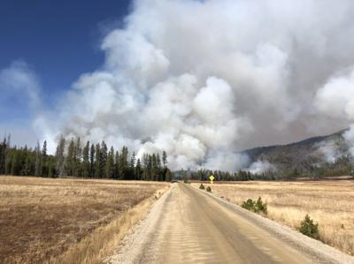 Commentary: As fire seasons turn into fire years, fuels reduction ...