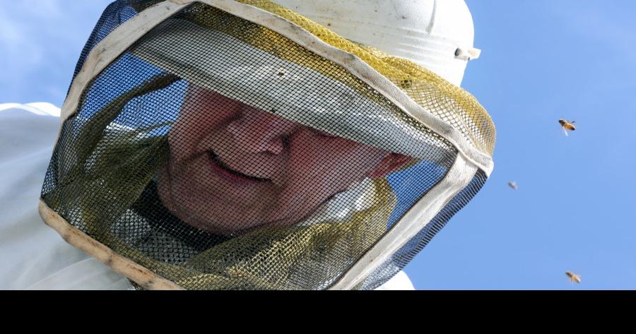 Life without bees not so sweet | Local News | idahopress.com