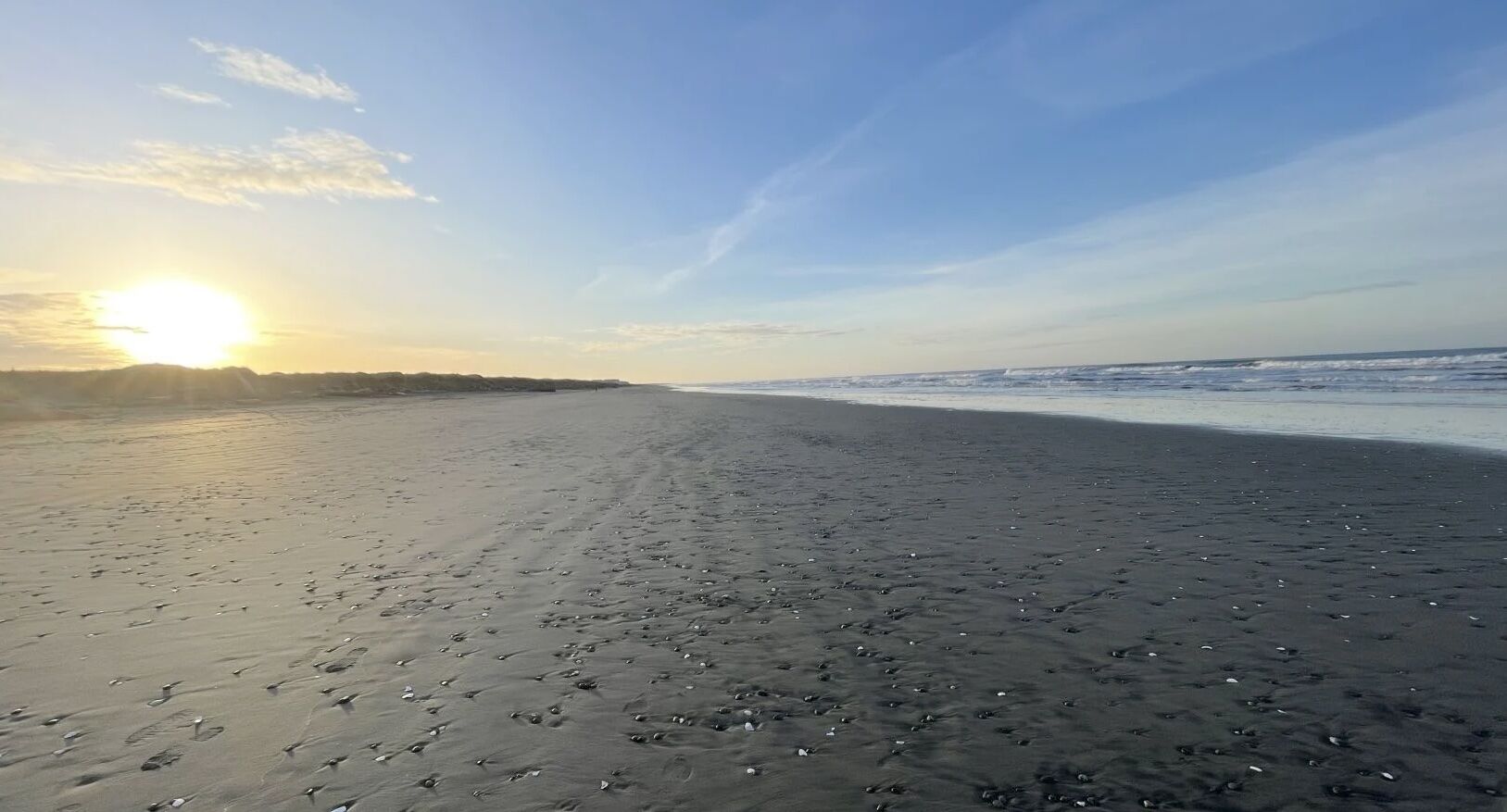 Seven days of coastal razor clams digs begin Thursday | Outdoors News ...