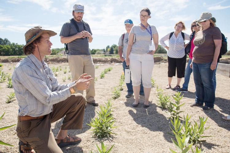 Gov. Little proclaims March STEM Matters Month | Local News | idahopress.com