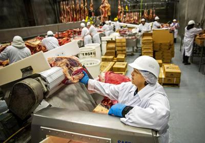 Ida-Beef faces USDA suspension after botched slaughter | State news ...