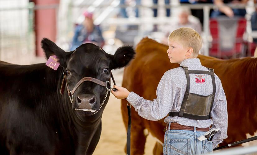 Results of the 2023 Gem Boise Fair, 4-H and FFA | Community News ...