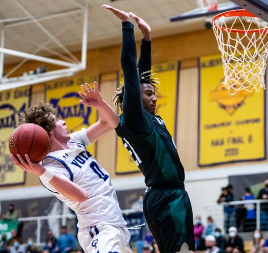 Yotes get 58 points from bench in first round tournament win | Idaho ...