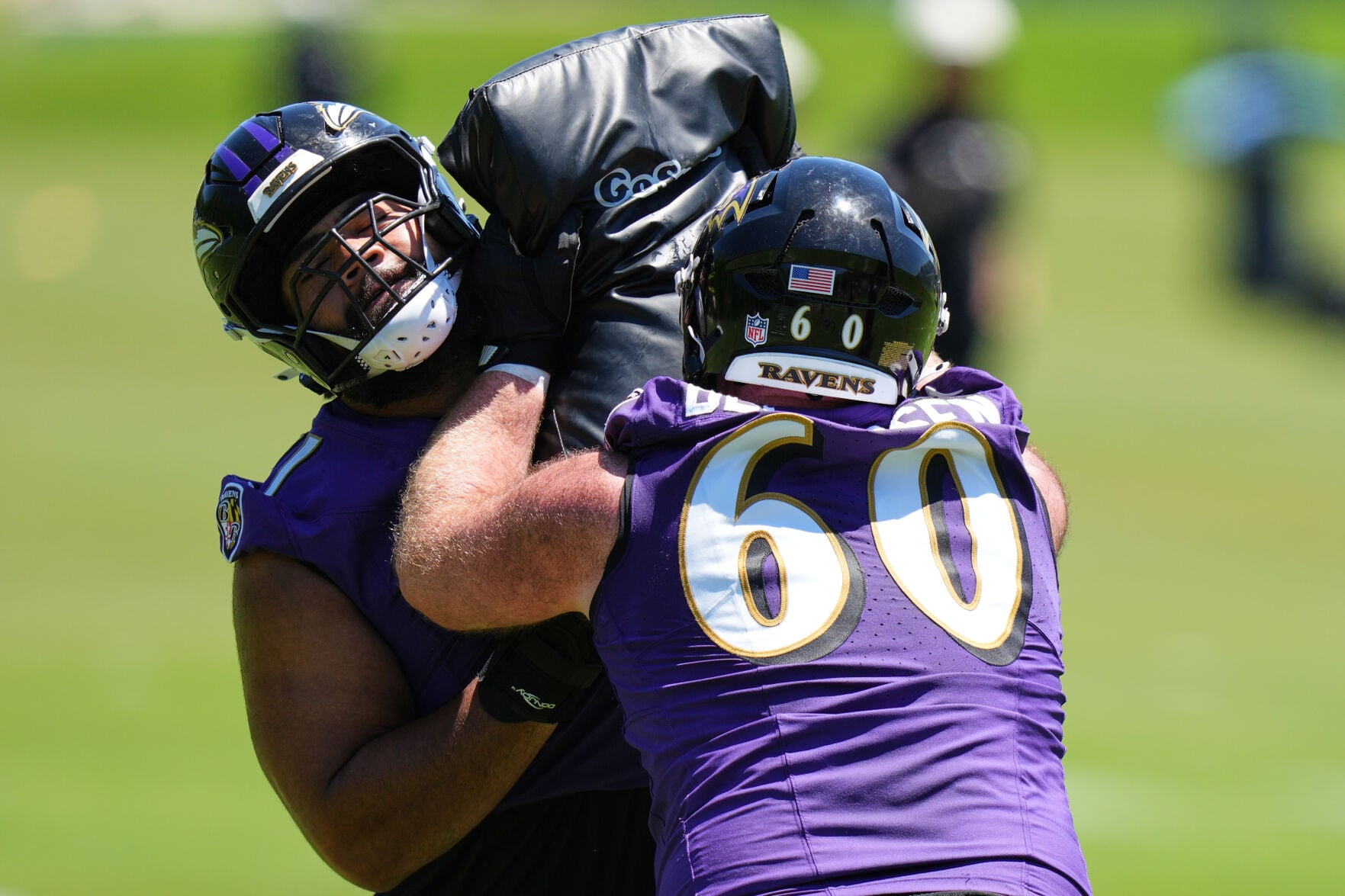 Ravens Football | National Sports | idahopress.com