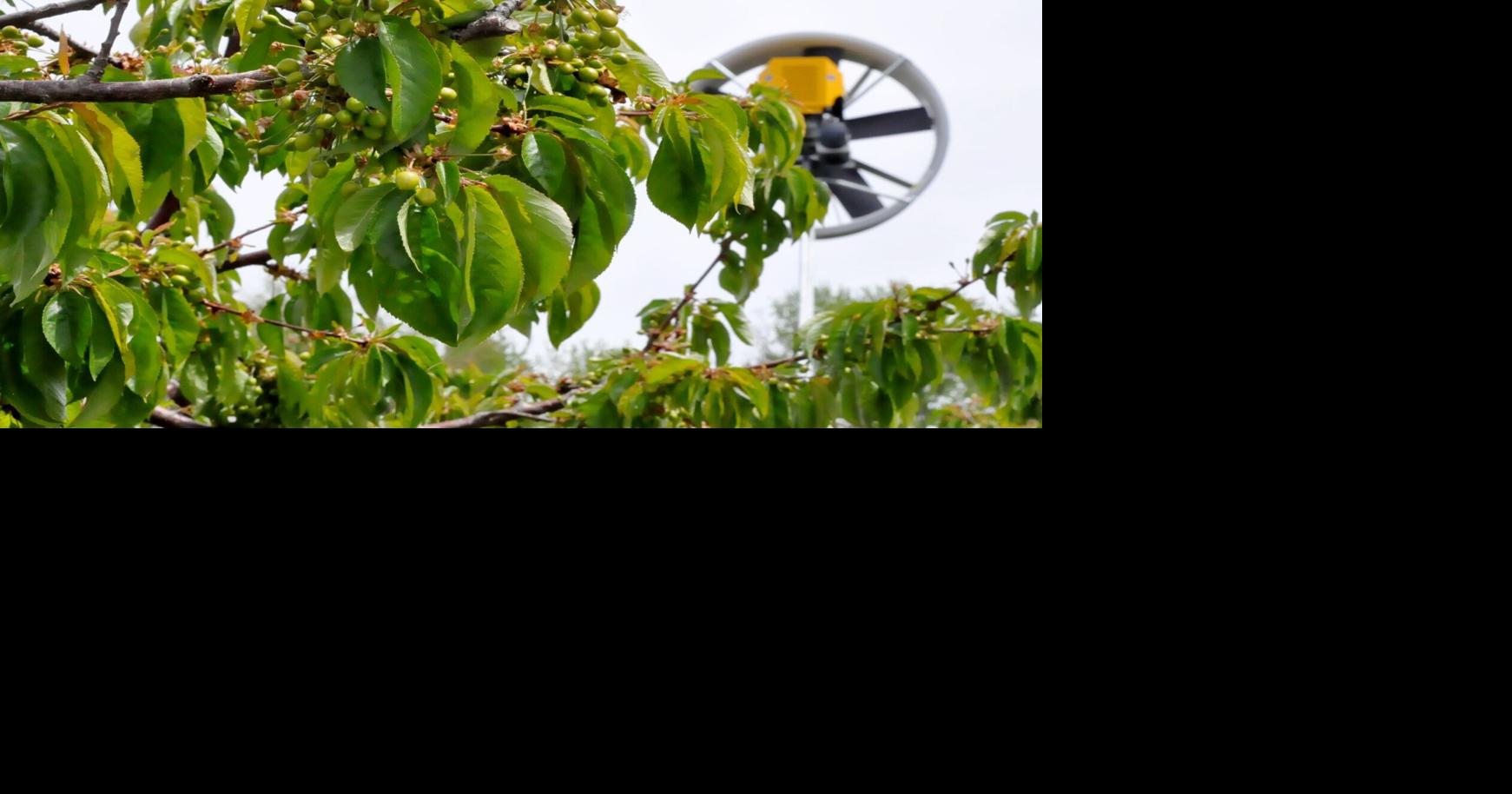 Dodging frozen bullets | Local News | idahopress.com