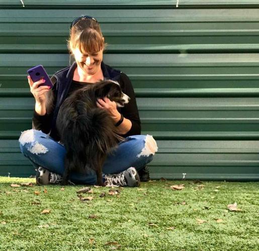 Meridian Canine Rescue focuses on behavior training, storytelling for ...