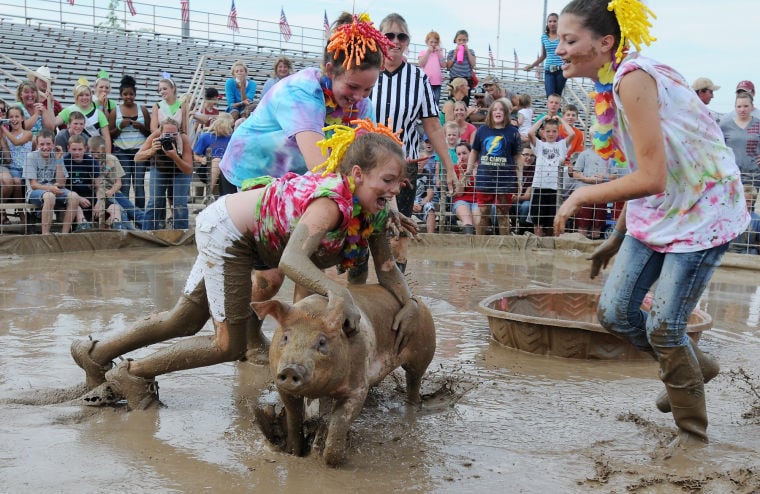 Pig Wrestling at the Fair | Photo Gallery | idahopress.com