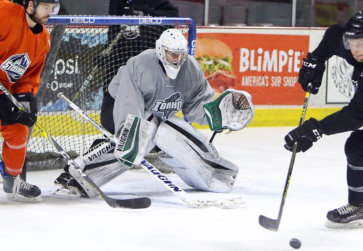 After nearly giving up hockey, Sholl shining in net for Steelheads ...