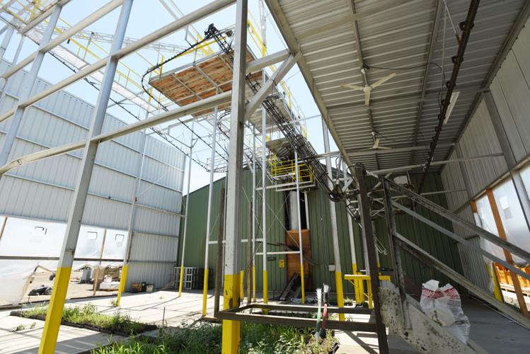 Growers respond to demand for hops | Members | idahopress.com