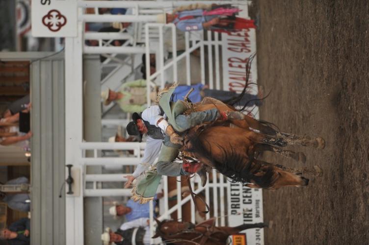 Owyhee County Rodeo | Sports | idahopress.com