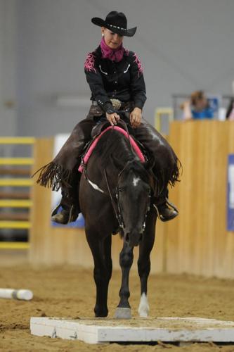 Extreme Mustang Makeover | Photos | idahopress.com
