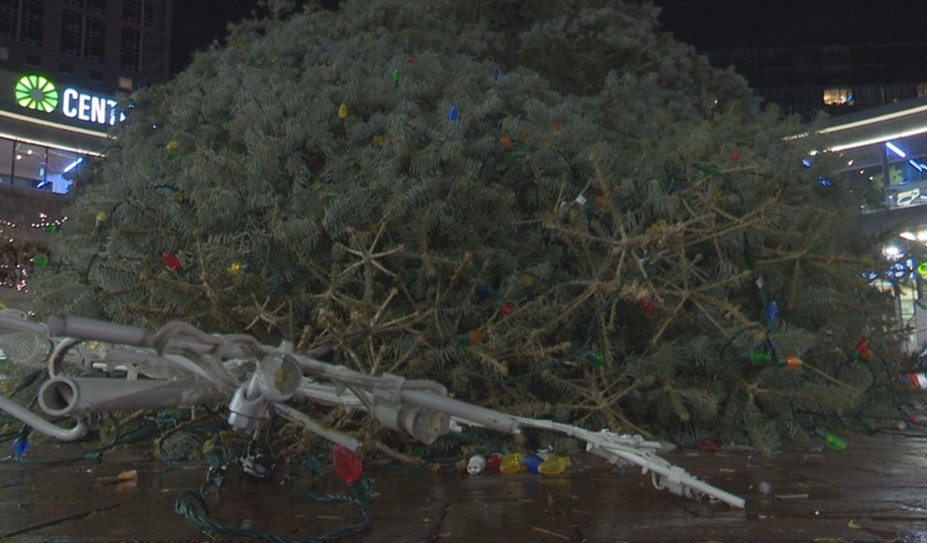 Downtown Boise tree toppled over, tree lighting event postponed | Local ...