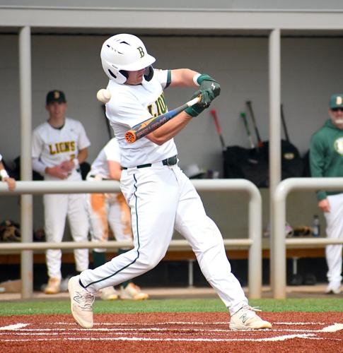 Brady Robinson strikes out 15 to lead Borah to district tourney win ...