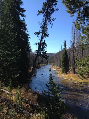 Mark your calendar for an anniversary hike up the Secesh River ...
