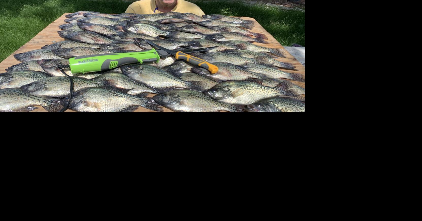 Tom Claycomb: OK, spring really is magical in Idaho! | Community ...