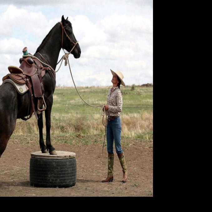 About to break: Mustang training competition coming to Nampa | Local ...