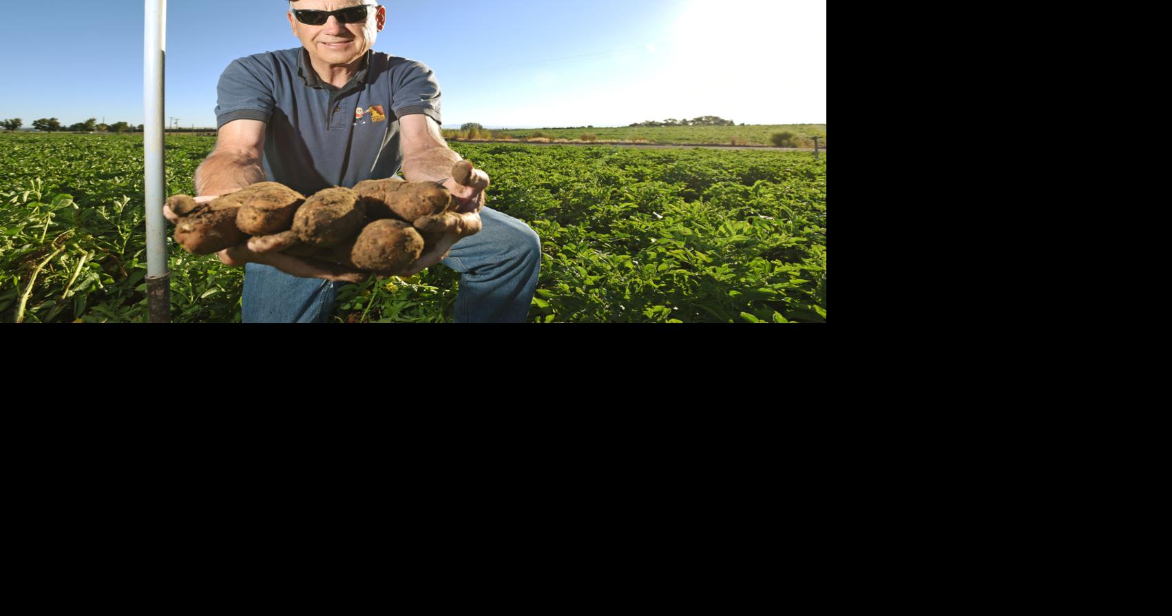 Branding, trusting help Gross make most of potato farm | Community ...