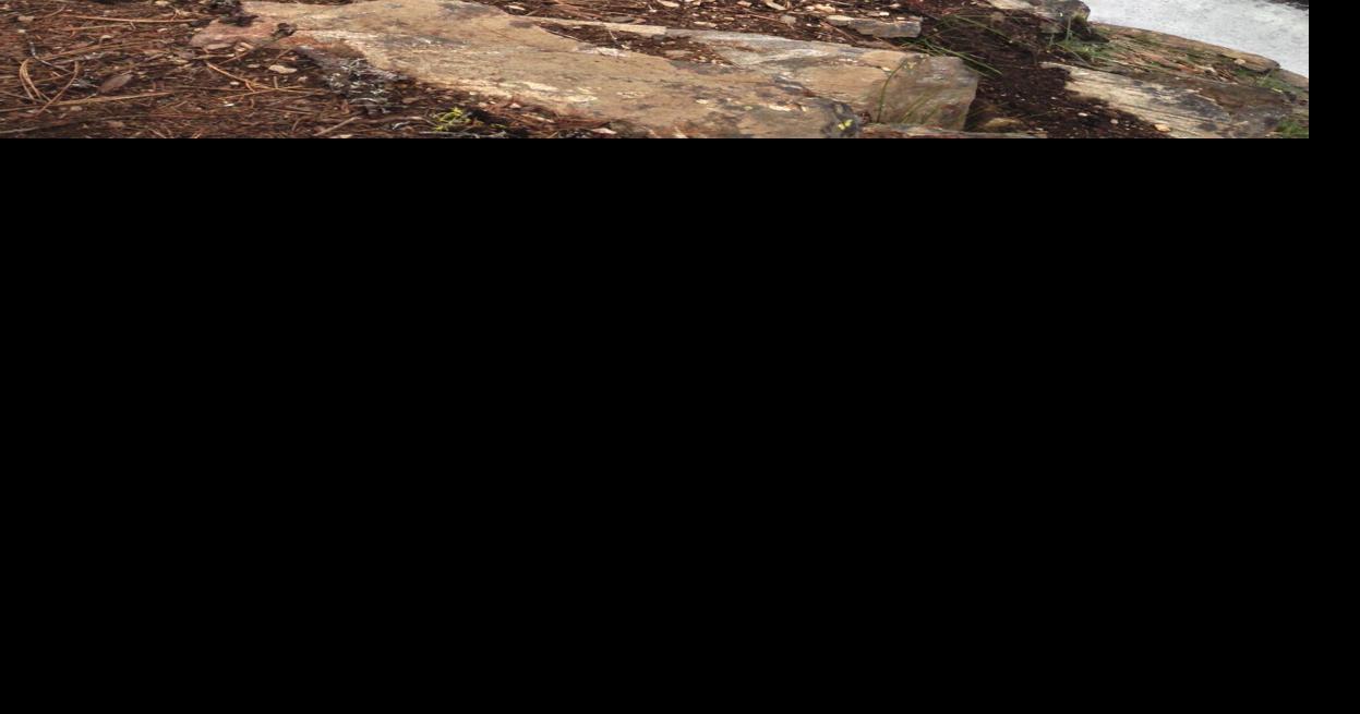 A good hike to Goose Creek Falls | Community | idahopress.com