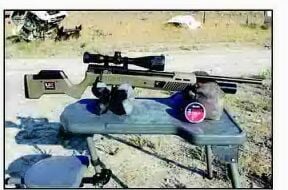Pigeon hunting with Umarex Gauntlet 2 | | idahopress.com