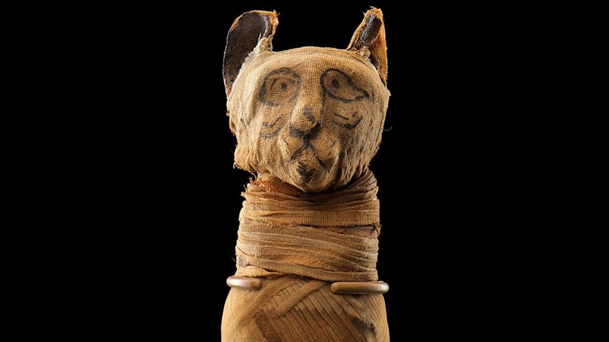 Mesmerizing mummies | Life | idahopress.com