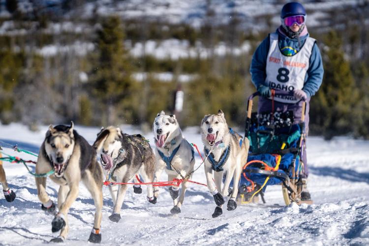 Idaho teen claims victory at Idaho Sled Dog Challenge | Local News ...