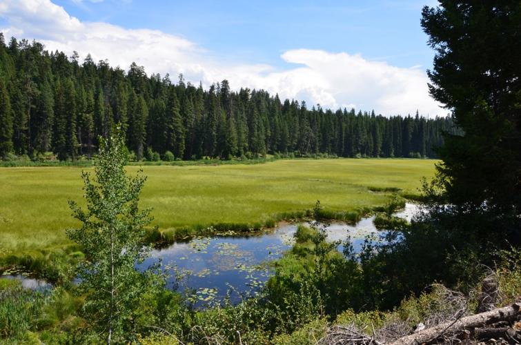 Pete Zimowsky’s Outdoors Spotlight | Outdoors News | idahopress.com