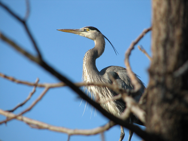 MK Nature Center | 101 | idahopress.com