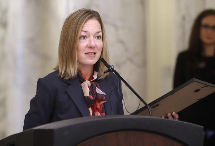 Boise Mayor McLean's first opponent revealed | Local News | idahopress.com