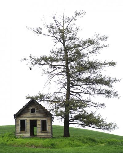 Charlie Litchfield: My Eye on Idaho | Photo Gallery | idahopress.com