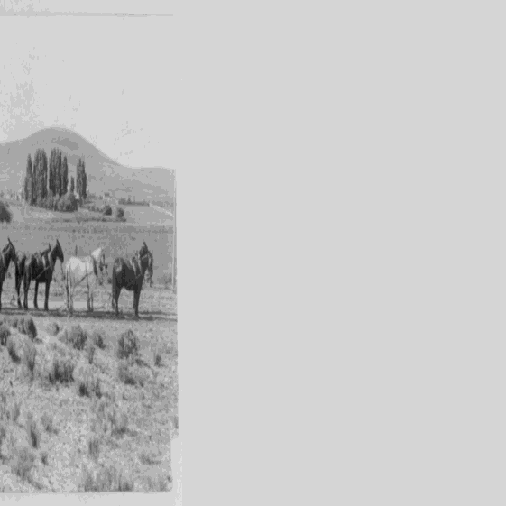 Examining Idaho's Gold Rush | Life | idahopress.com