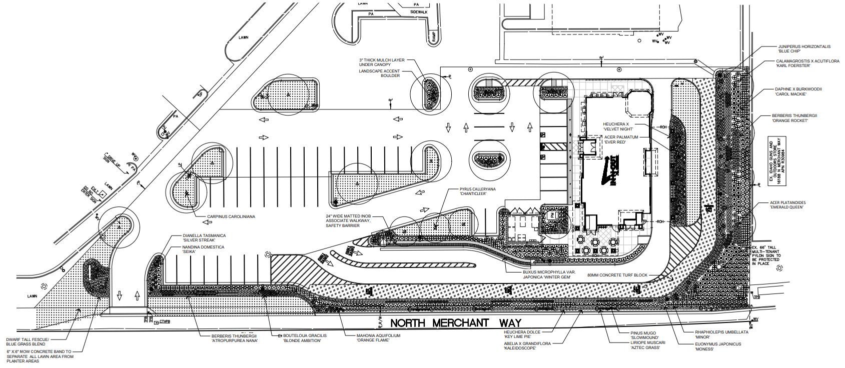 In-N-Out underway, navigating Nampa's development process | Local News ...