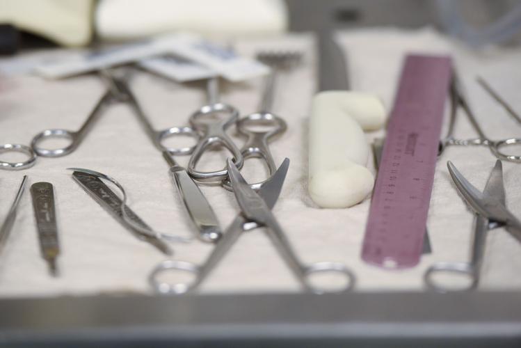 Coroners get to work under any condition | 2018 | idahopress.com