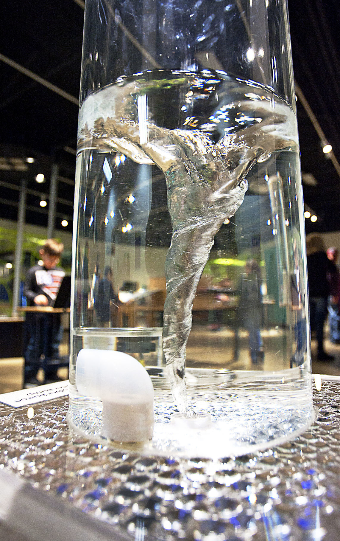 Discovery Center set to welcome permanent T. rex skeleton display ...