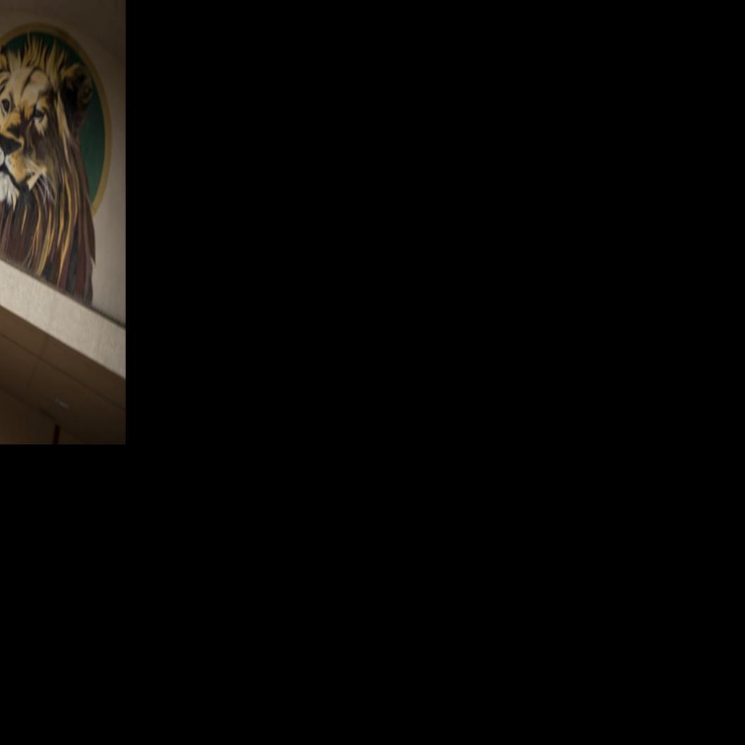 BOYS BASKETBALL ATHLETE OF THE YEAR: Austin Bolt, Borah | Special ...