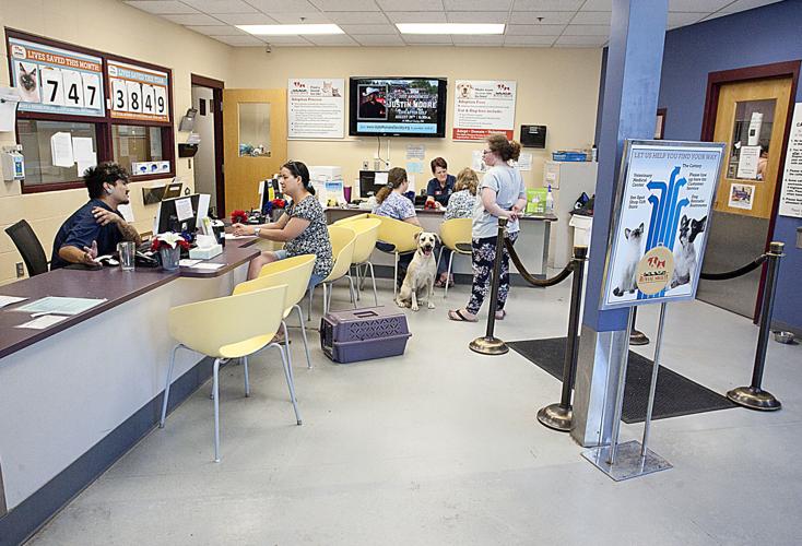 Boise upping its contribution to Idaho Humane Society, Garden City and ...