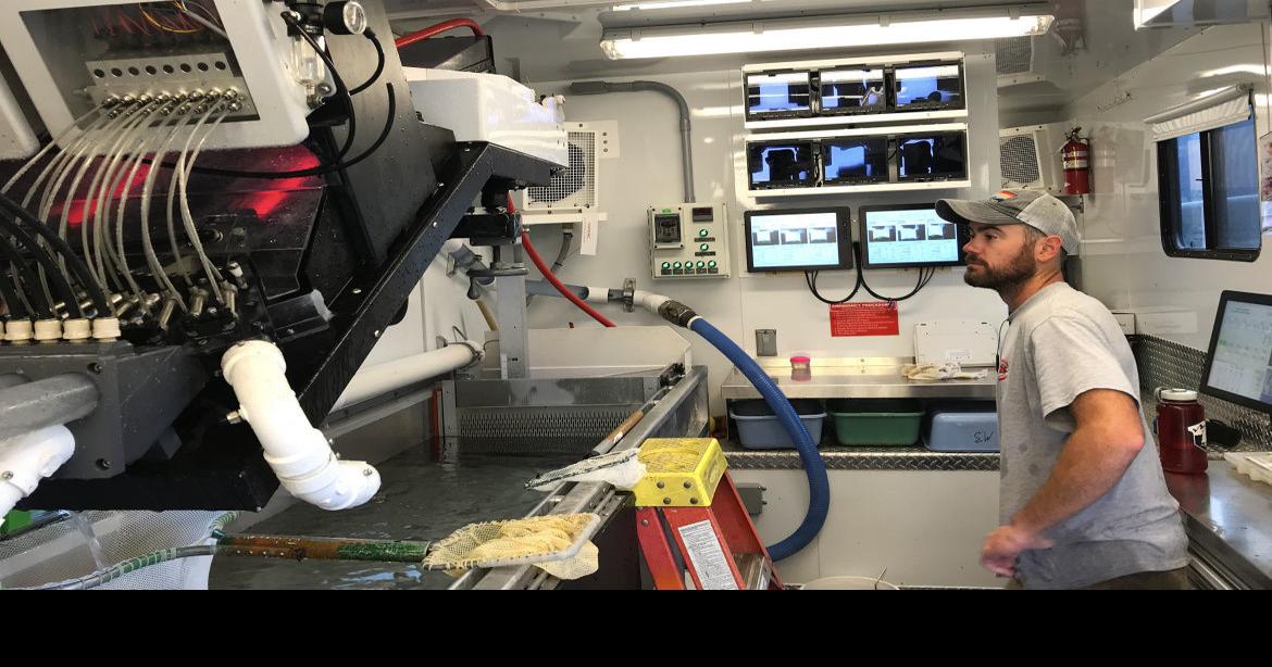 A steelhead smolt sensation | Outdoors News | idahopress.com