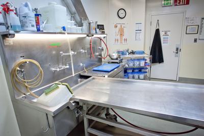 Idaho coroners recommend law changes to improve death investigations ...