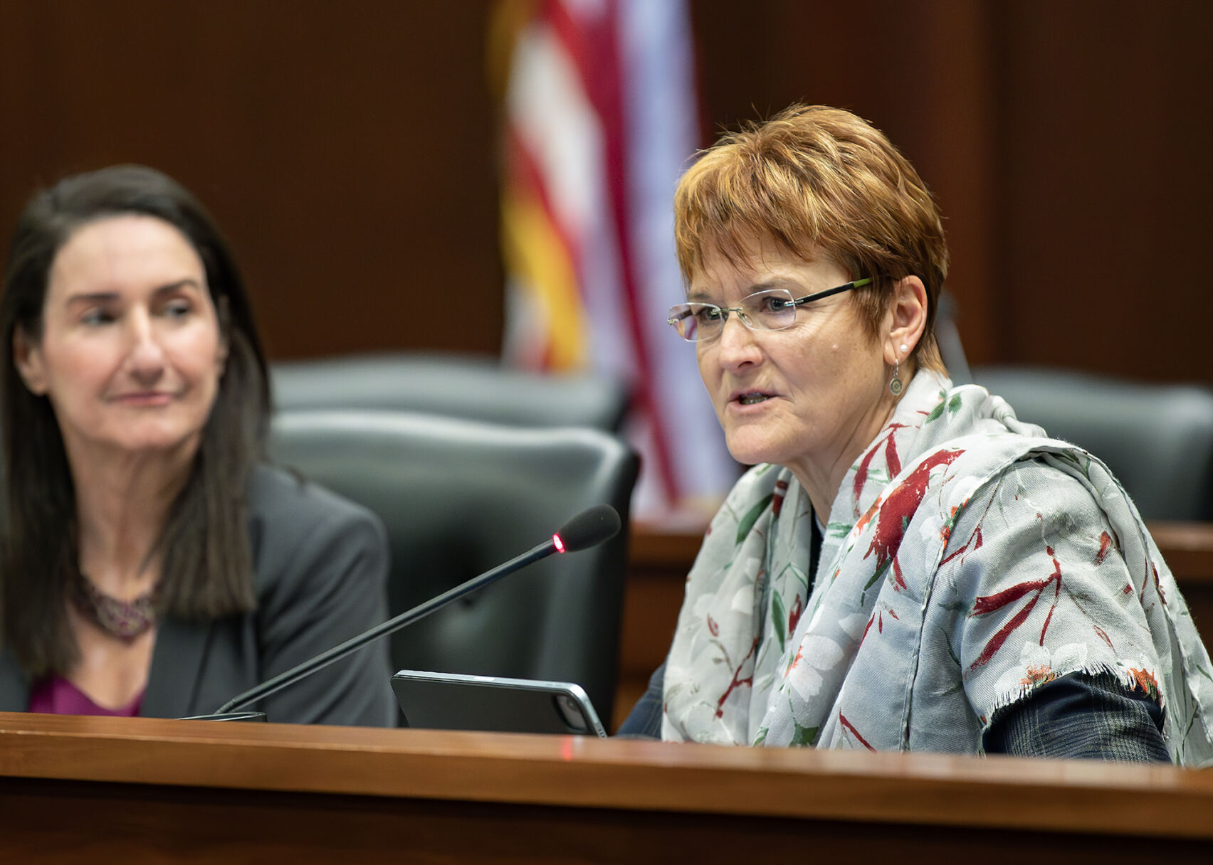 Gov. Brad Little, legislative leadership provide outlook in advance of ...