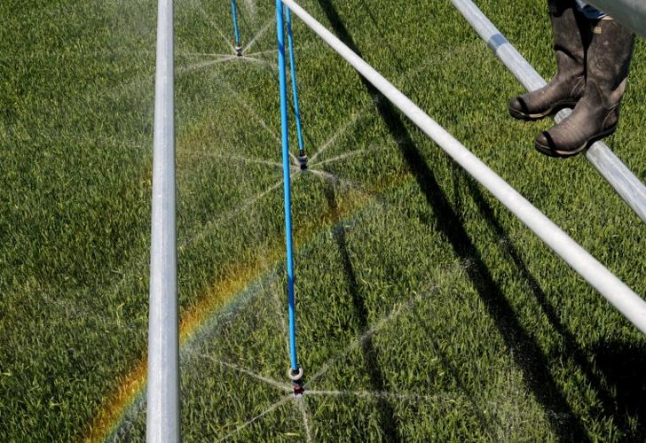 Irrigation System | Photo Gallery | idahopress.com