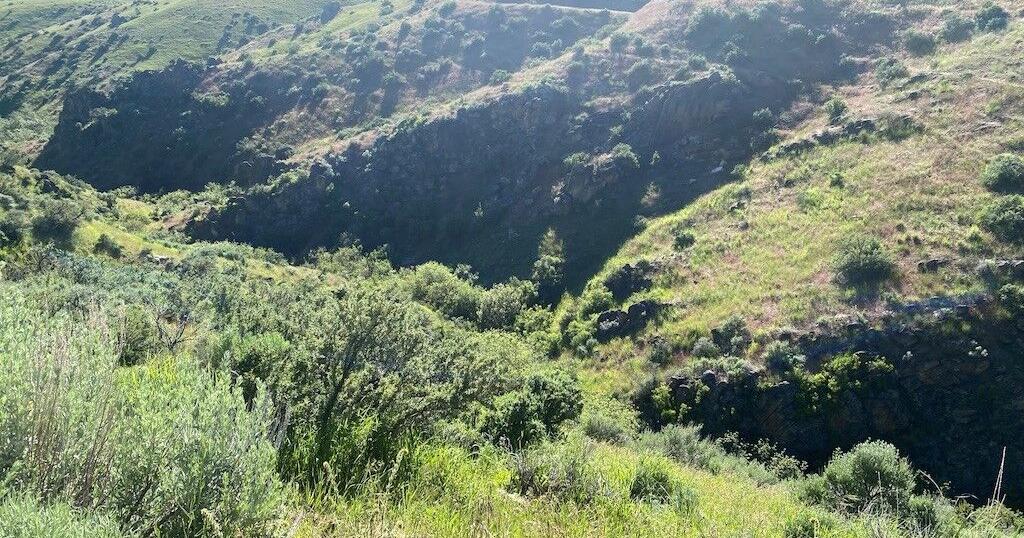 Land Trust of the Treasure Valley looking for donations to secure 320 ...