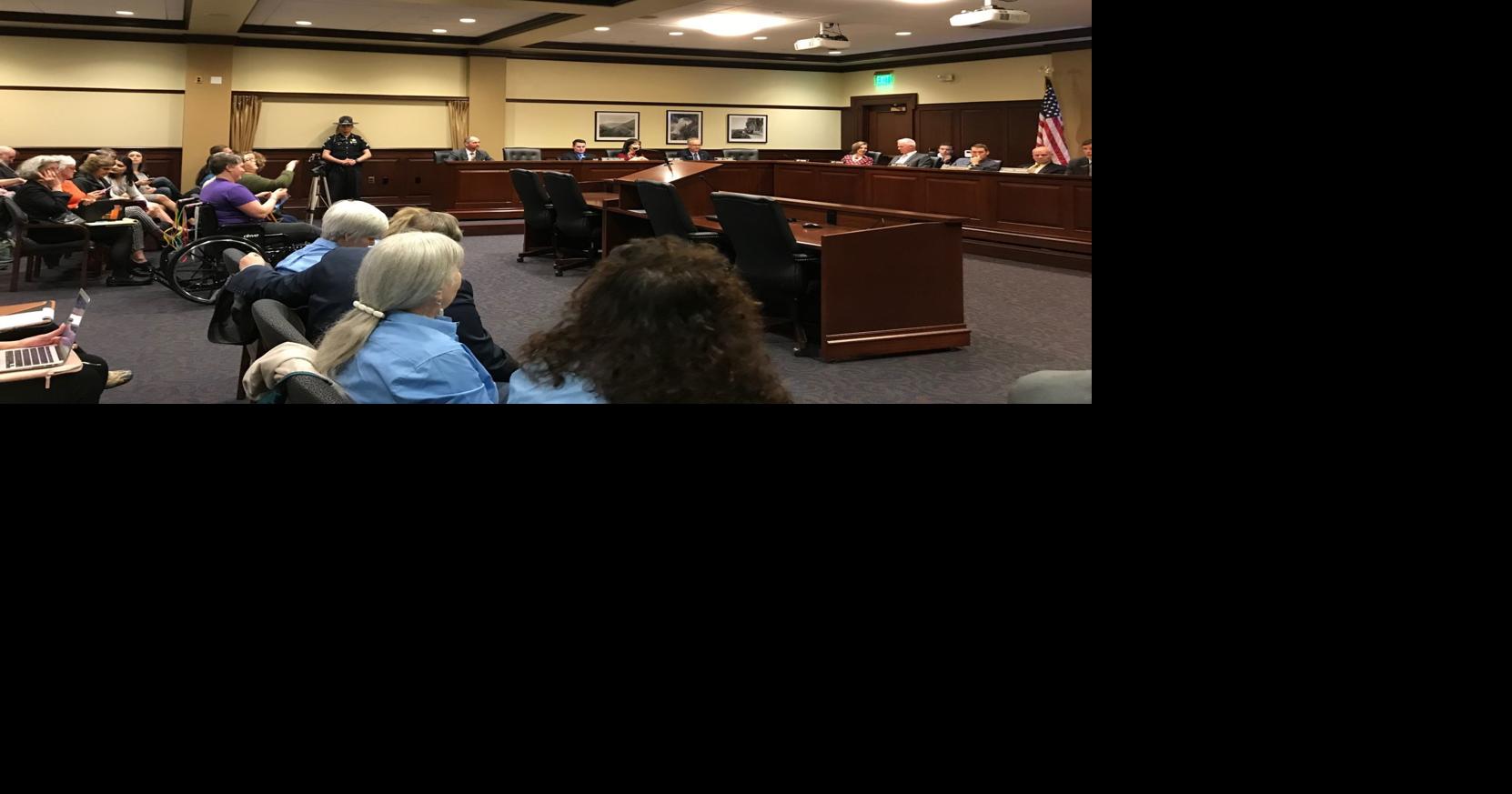 House State Affairs looks to introduce 4 bills mimicking 1196 and 296 ...