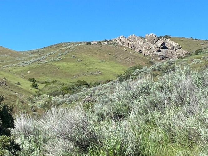 Land Trust of the Treasure Valley looking for donations to secure 320 ...
